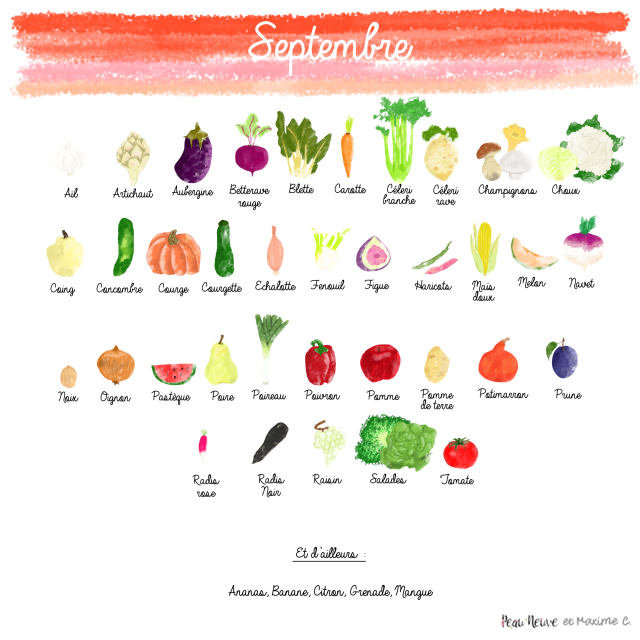 Fruits et légumes mois de Septembre | blog Recettes veggie