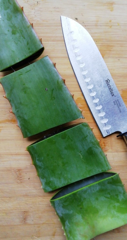 Recette de boisson naturelle à l’aloé vera, curcuma, gingembre (mixeur ...