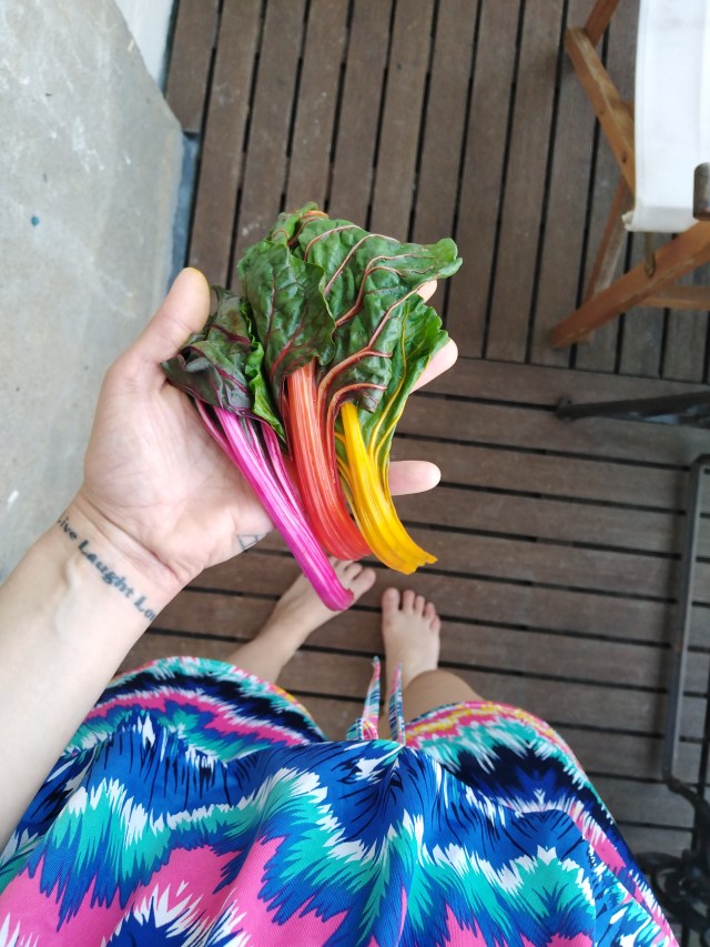 Recette de salade colorée aux blettes | blog Recettes veggie