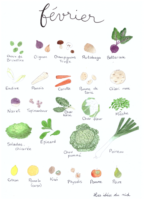Fruits et Légumes biologiques du mois de Février | blog Recettes veggie