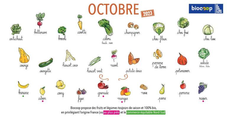 Calendrier des fruits et légumes bio d’Octobre | blog Recettes veggie